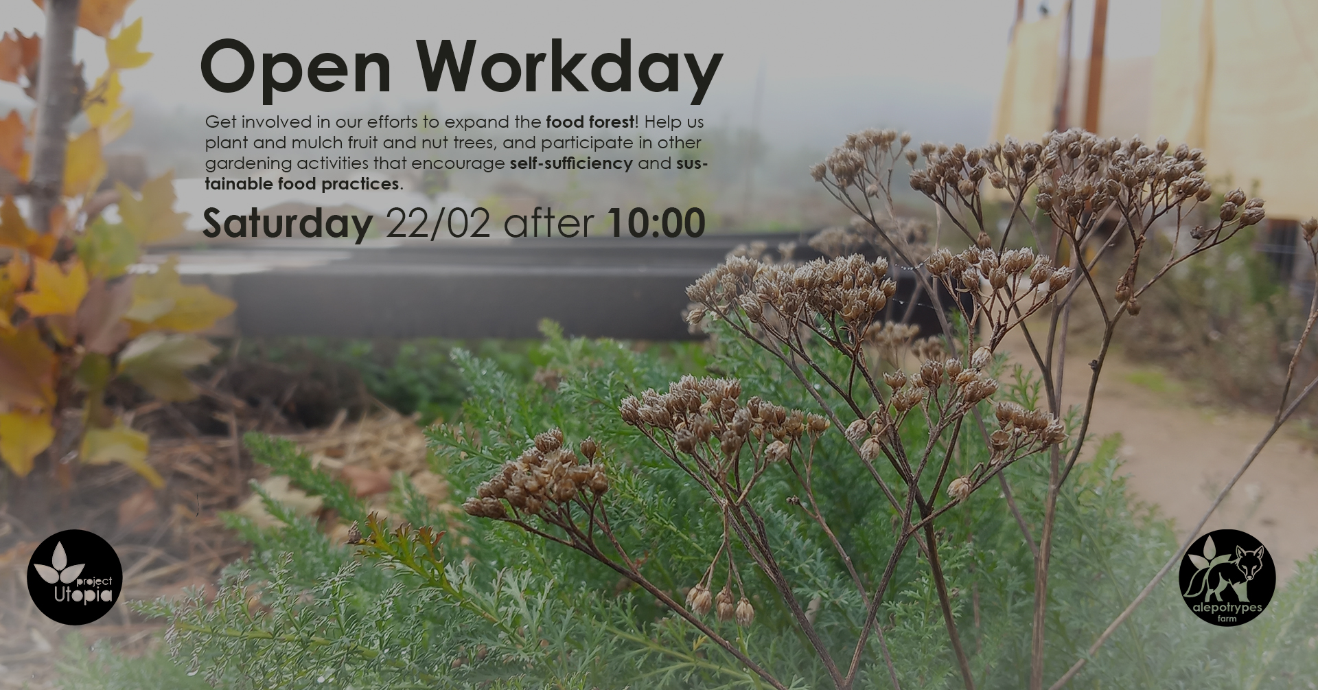 Events – Utopia project